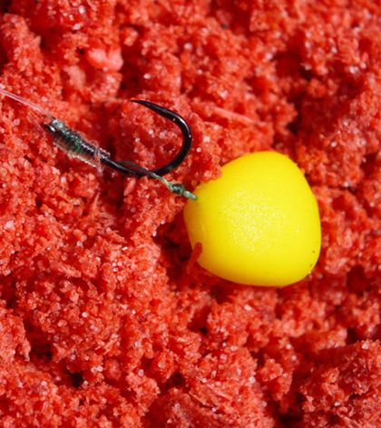 Les appâts-leurres pour pêcher la carpe