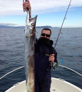 Pêche du sabre en mer : les dents de la mer