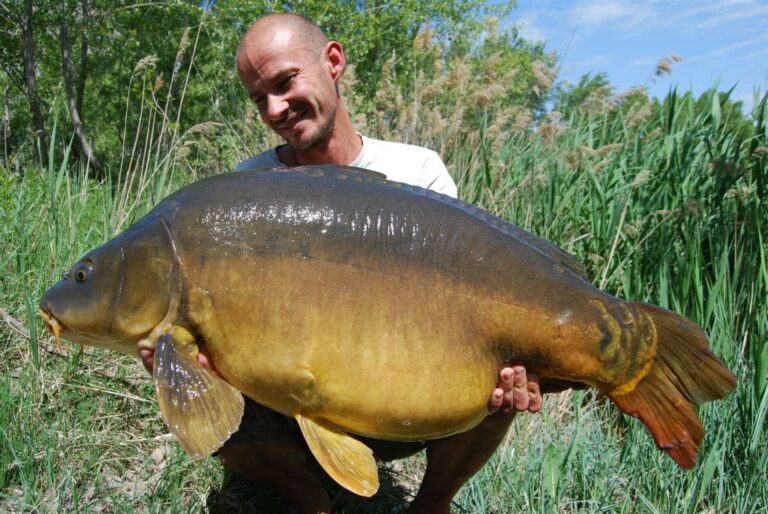 Graine ou bouillette? Quel est le meilleur appât pour la carpe