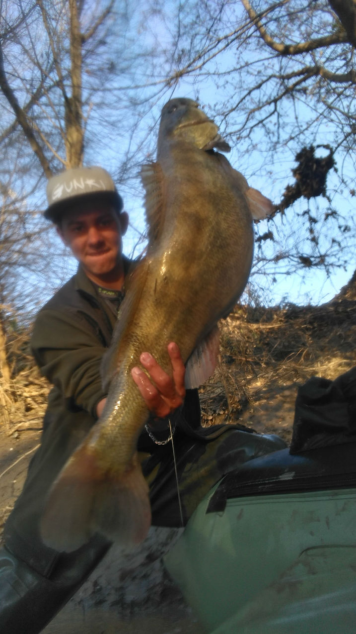 Sandre record : Top 20 des plus gros sandres pris en France ...