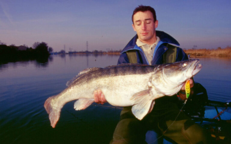 Sandre record : Top 20 des plus gros sandres pris en France