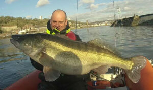 Sandre record : Top 20 des plus gros sandres pris en France