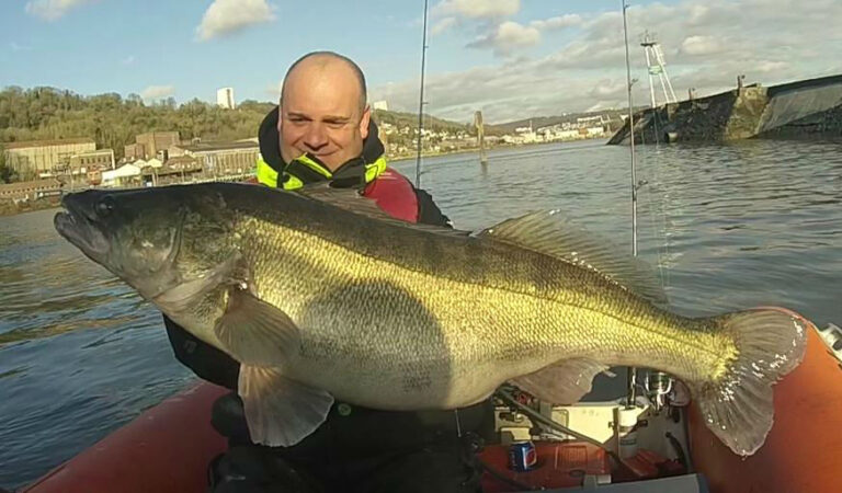 Sandre record : Top 20 des plus gros sandres pris en France