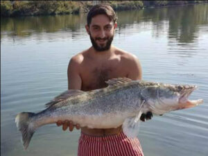 Sandre record : Top 20 des plus gros sandres pris en France