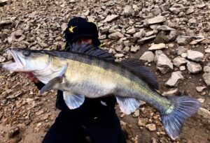 Sandre record : Top 20 des plus gros sandres pris en France