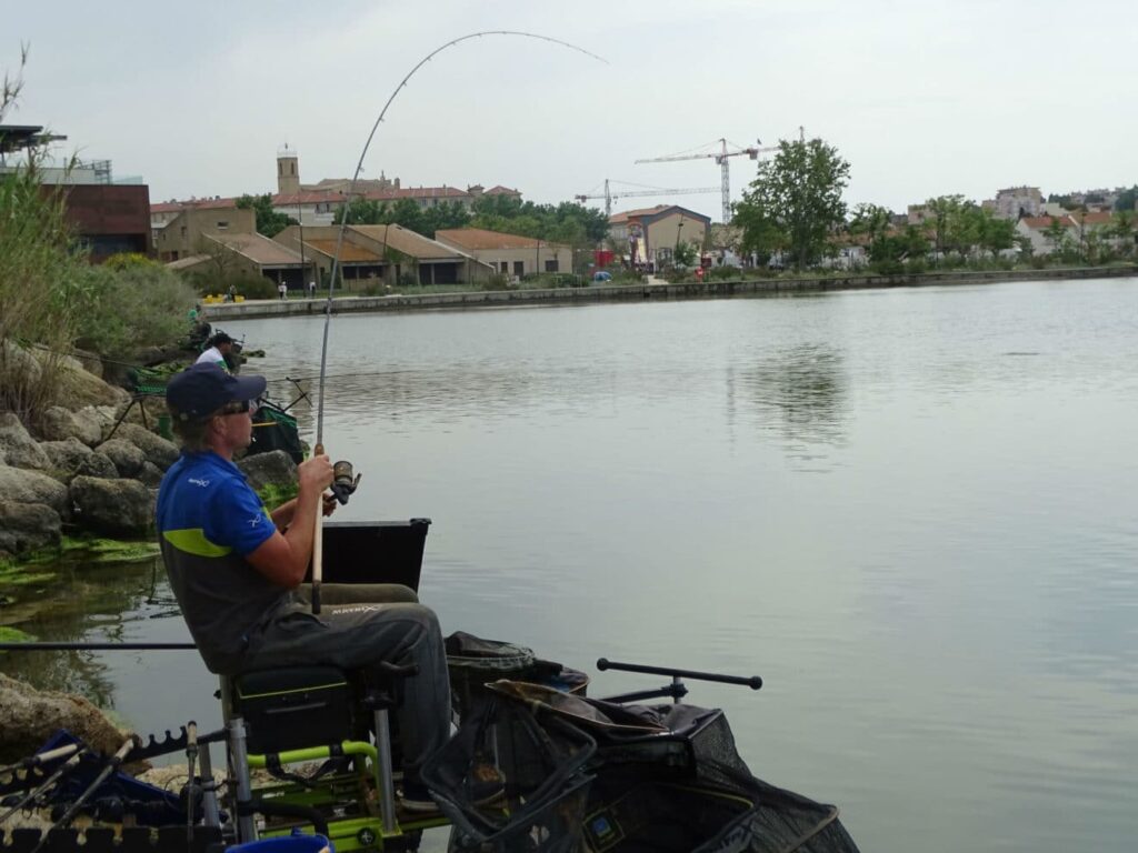 Comment pêcher les grosses brèmes au feeder en étang ? – 1max2peche