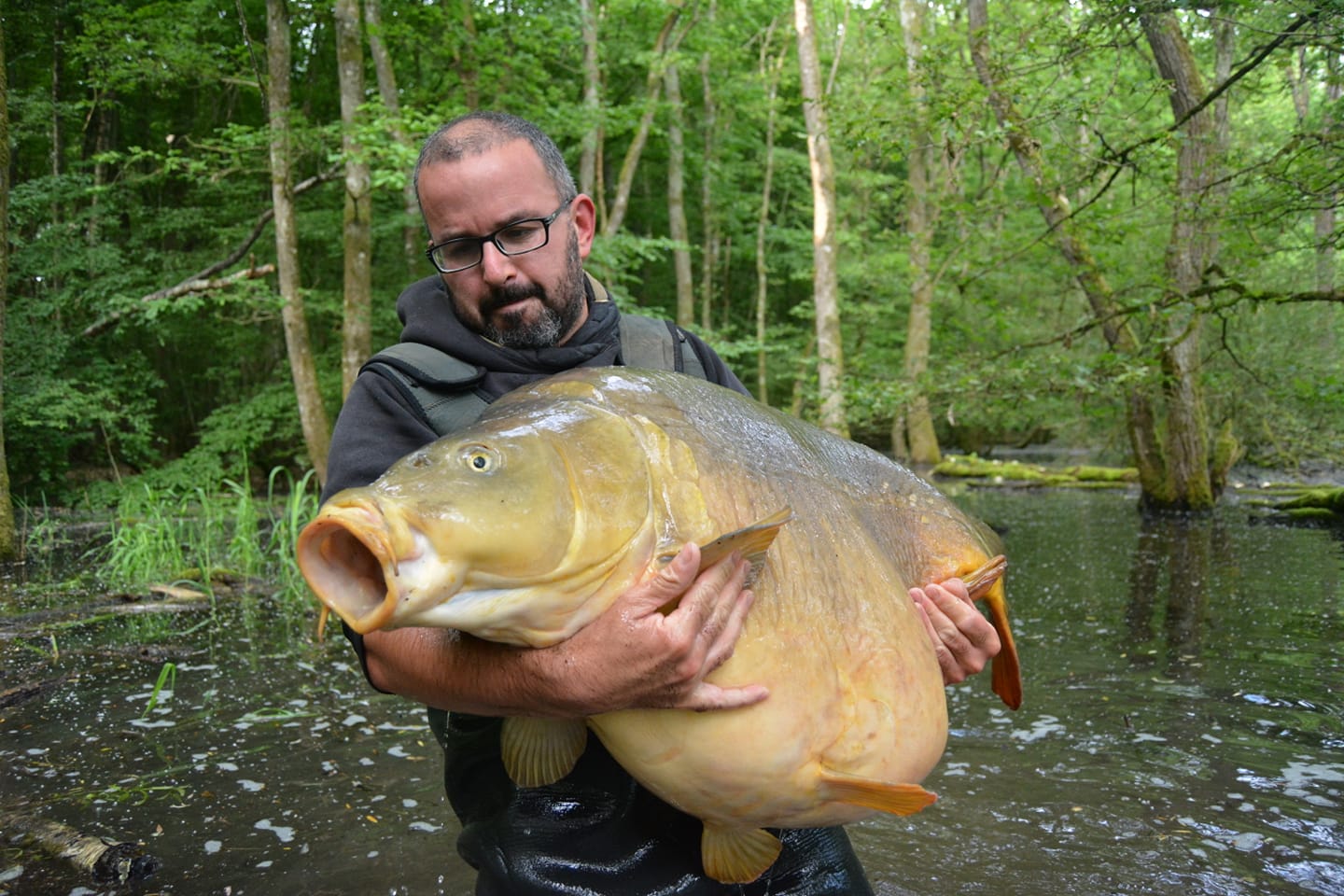 Carpe Record : Top 20 des plus grosses carpes de France