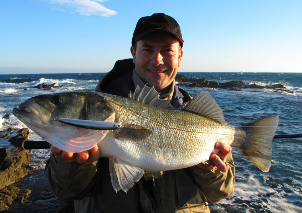 Pêche des gros bars en méditerranée en automne
