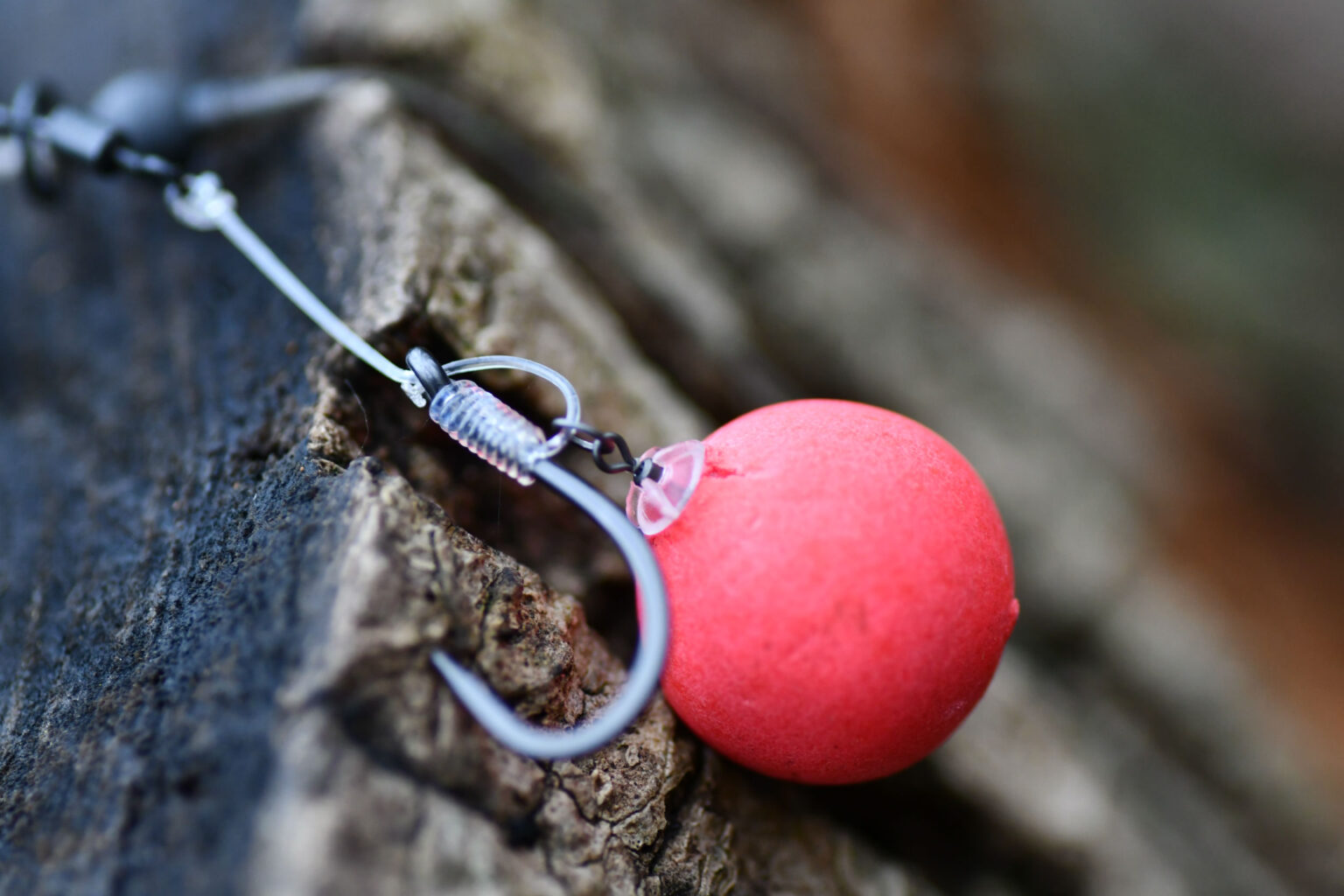 Montage Chod Rig pour la carpe : solution hivernale mais pas seulement ...