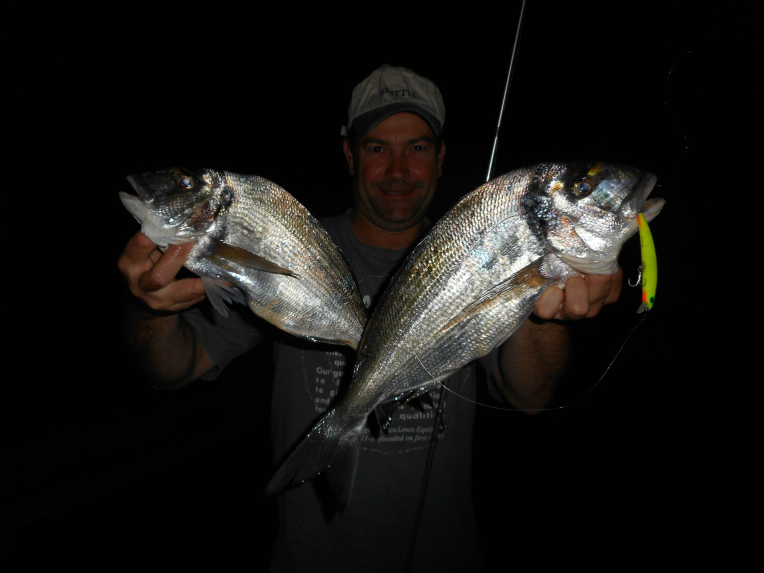 Comment pêcher la daurade royale aux leurres