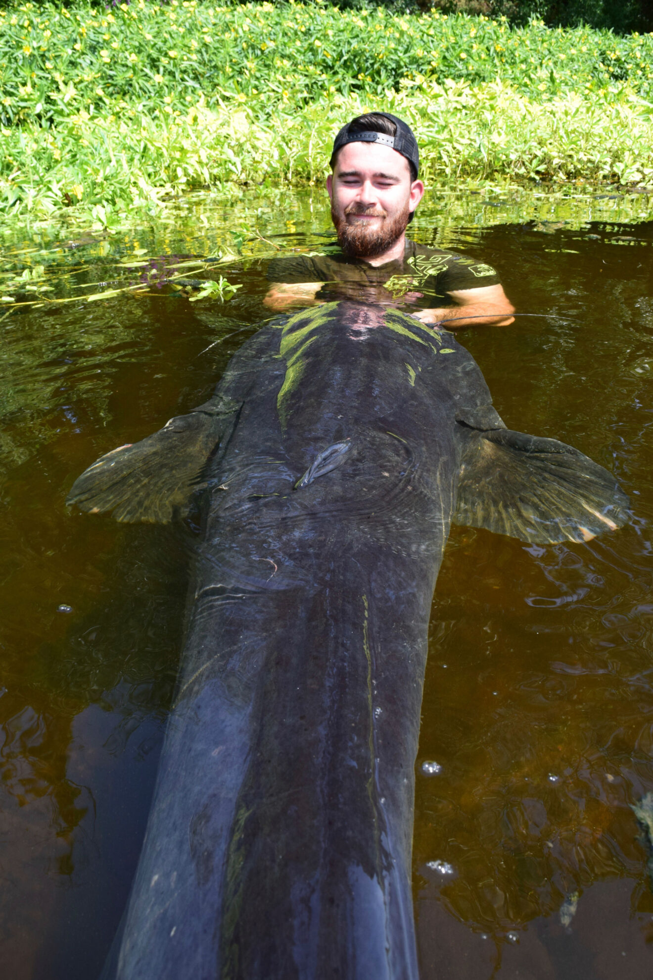 Conseils d'experts pour manipuler les gros silures